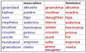 Árbol genealógico en Inglés | Nombra correctamente a tus familiares!